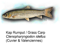 Clearwater Sanctuary Golf Resort. Your Passport to indulgence A ...